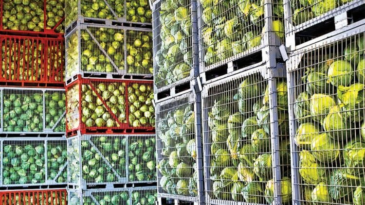 India invests Rs. 743 cr on Integrated Cold Chain projects, to generate ...
