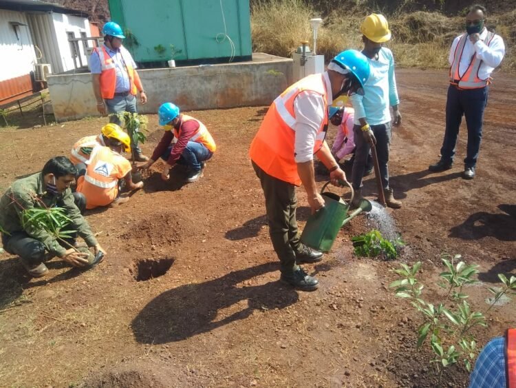 Environment Sustainability: JSW Steel Observes Mines Environment And ...