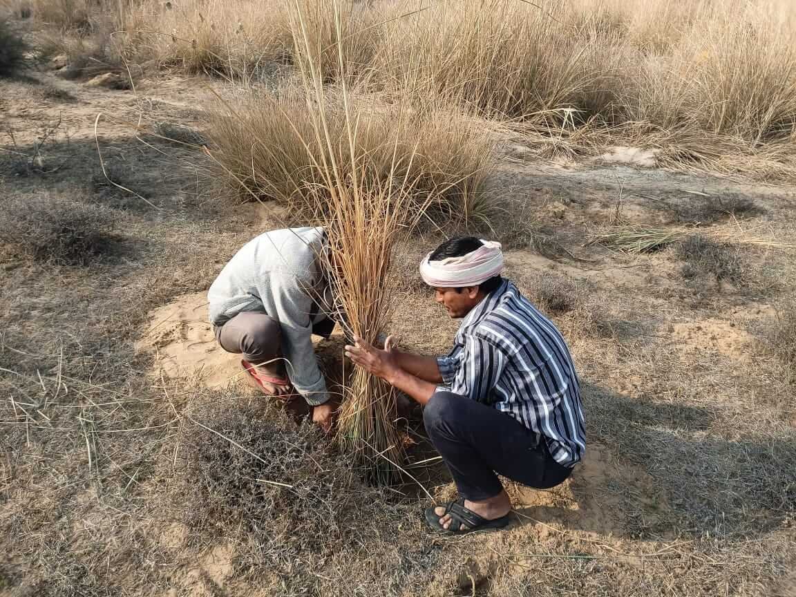 CSR: ICICI Foundation Converting 125 Acres Of Wasteland Into Orchards ...