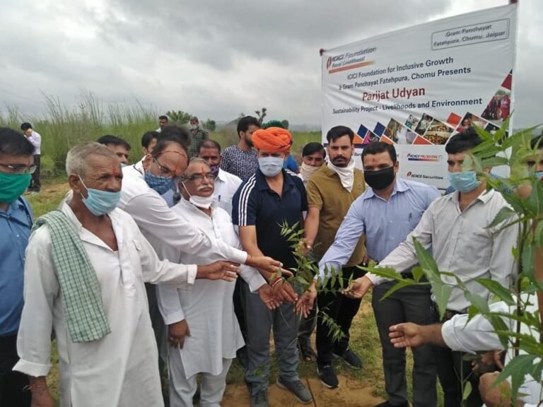 CSR: ICICI Foundation Converting 125 Acres Of Wasteland Into Orchards ...