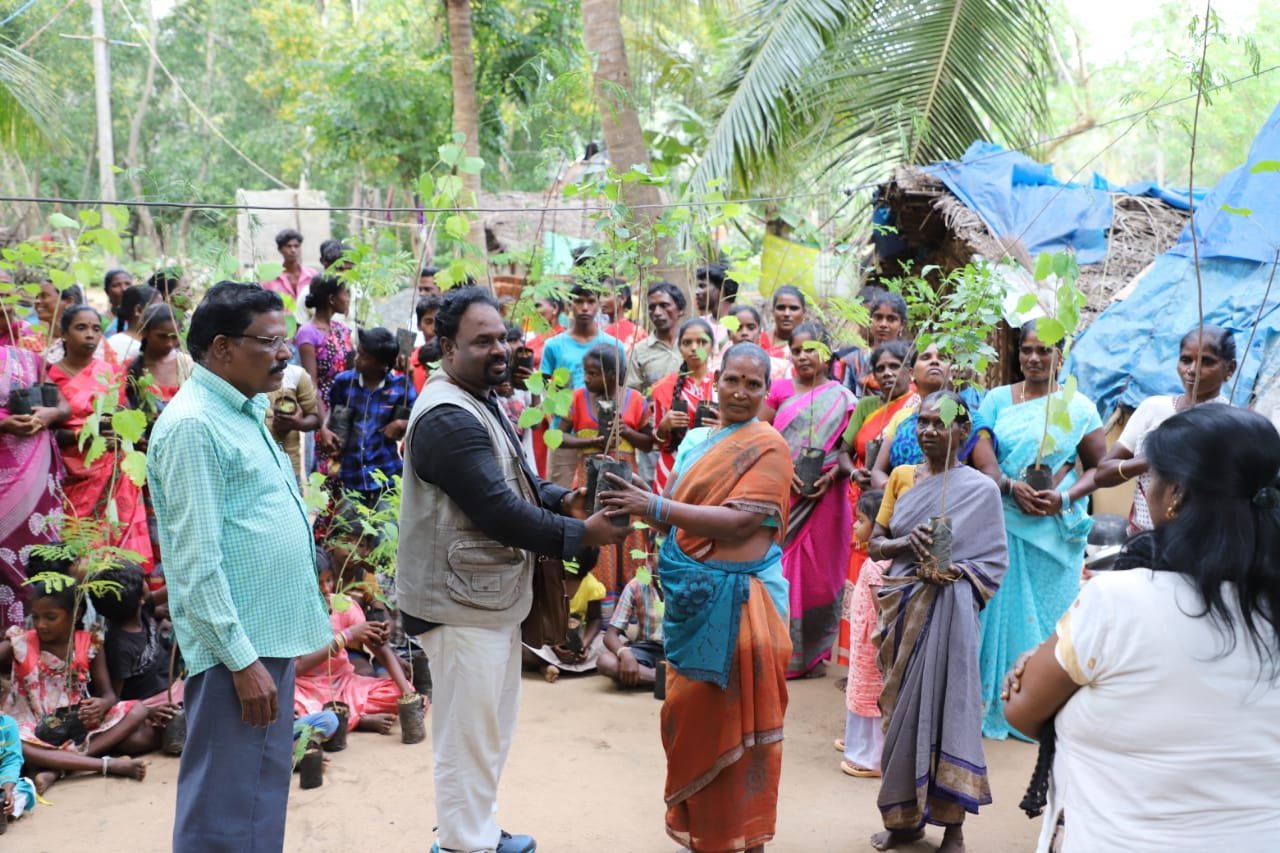 Employment for tribal communities through tree plantation drives ...