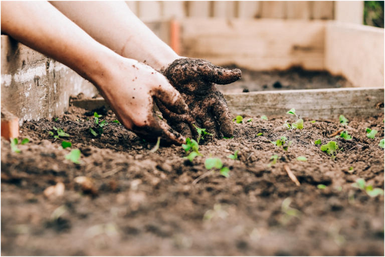 12 Steps to Making Your Campus More Eco-Friendly - India CSR