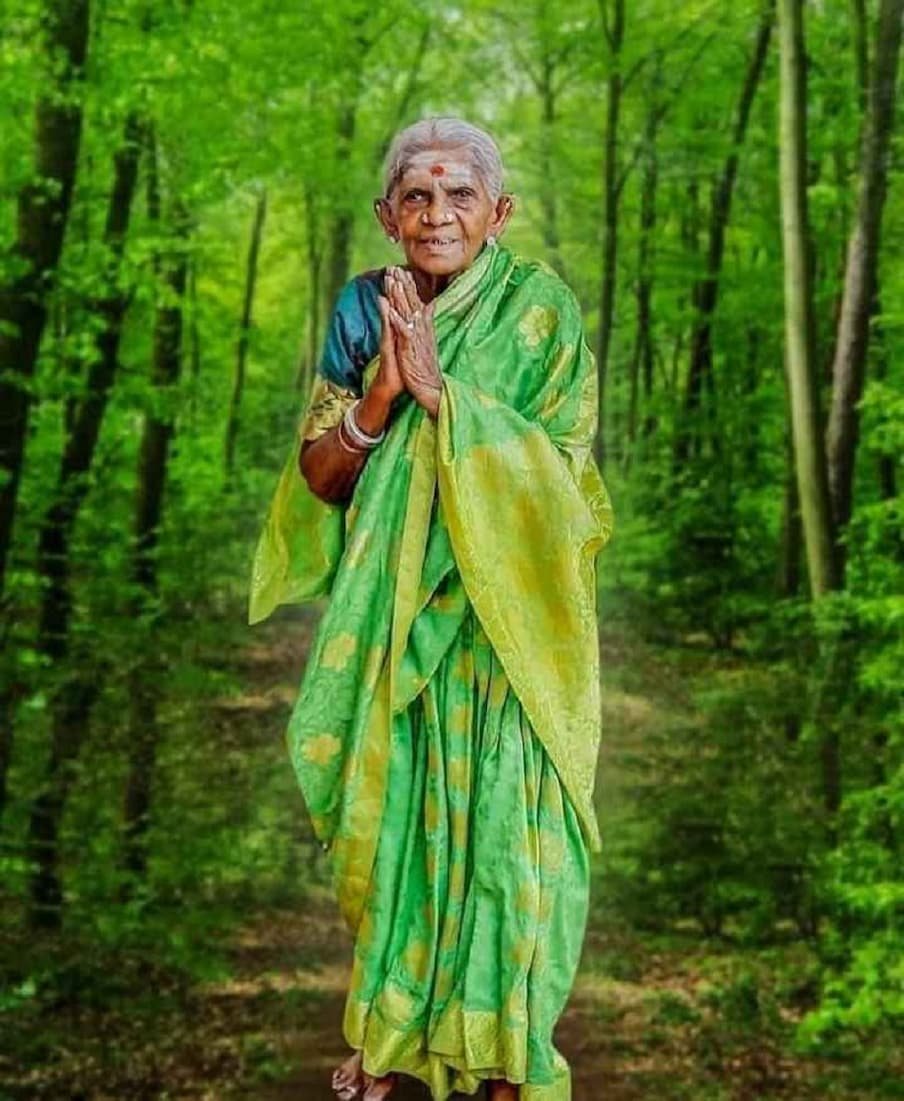 What does the story of Marada Thimmakka teach us? I India CSR