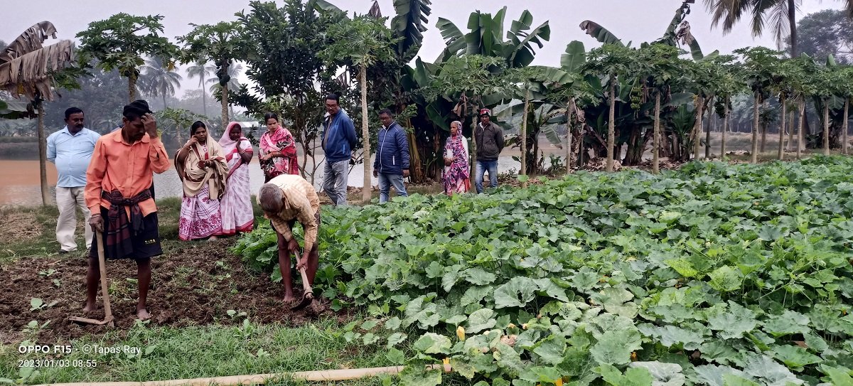 CSR: Adani Foundation Promotes Dual Cropping and High Value Crop ...