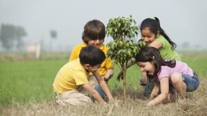 What Is A CSR Activity: Introduction, 4 Definitions, Meaning, Provision ...