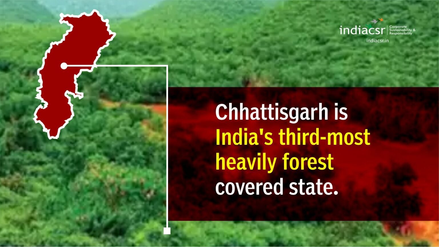 Chhattisgarh to grow 15 Crore trees in 5 years under the nation's first ...