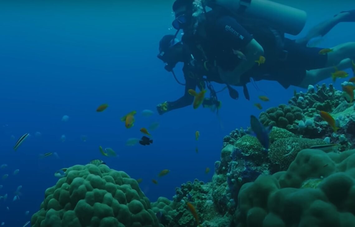 Dell Technologies is turning the tides for good to mitigate the ocean ...