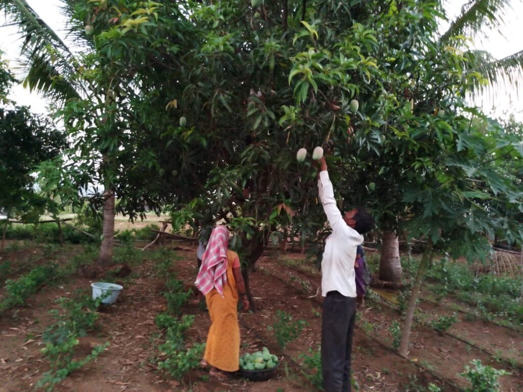CSR: Avashya Foundation's Maitree Initiative Celebrates Sustainable ...