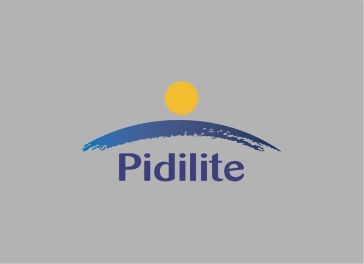 Pidilite Industries Exceeds CSR Spending Obligations For FY 22-23 I ...
