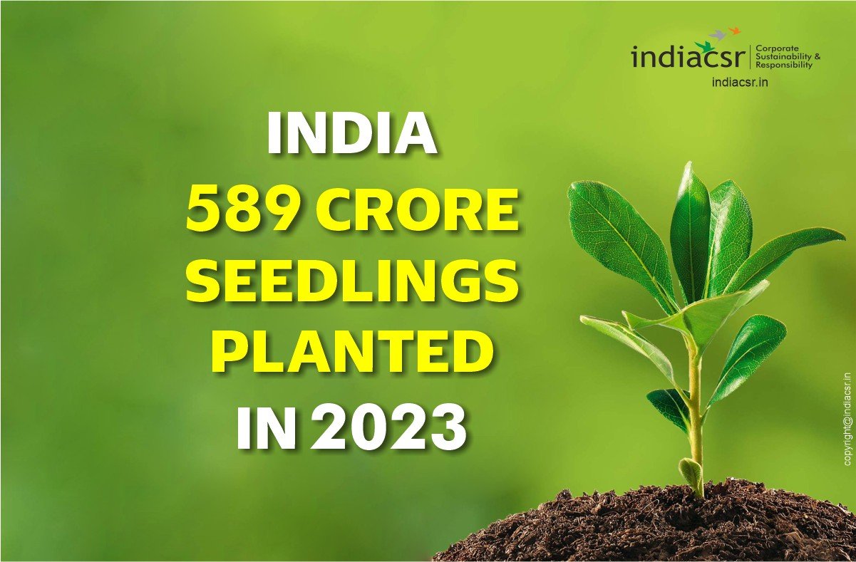 Tree Plantation: India Plants 589 Crore Seedlings In 2023