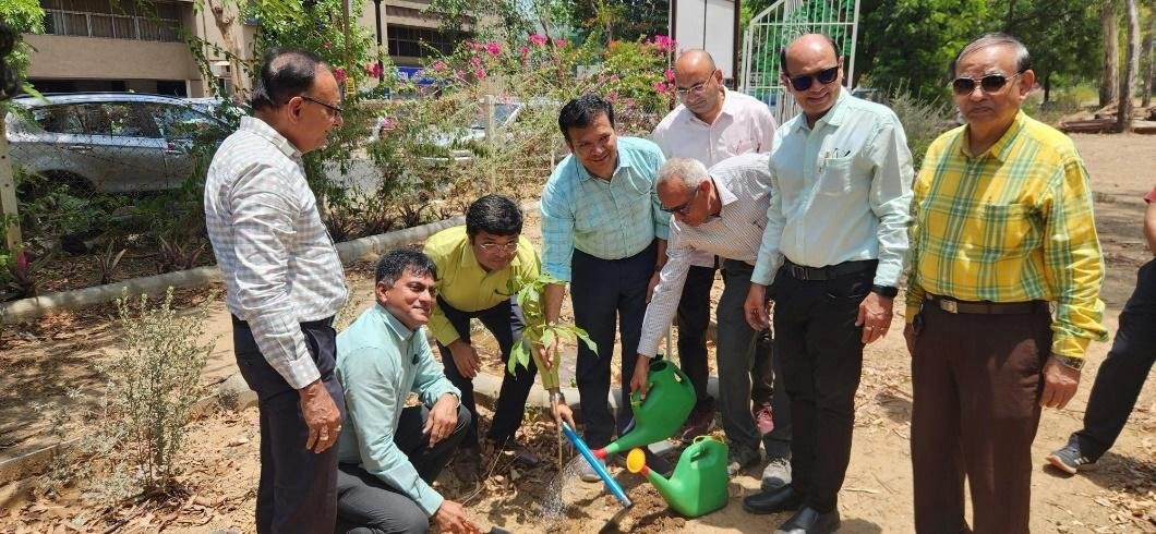 Celebrating 75 Years In India: Hitachi Energy To Plant 75,000 Trees ...