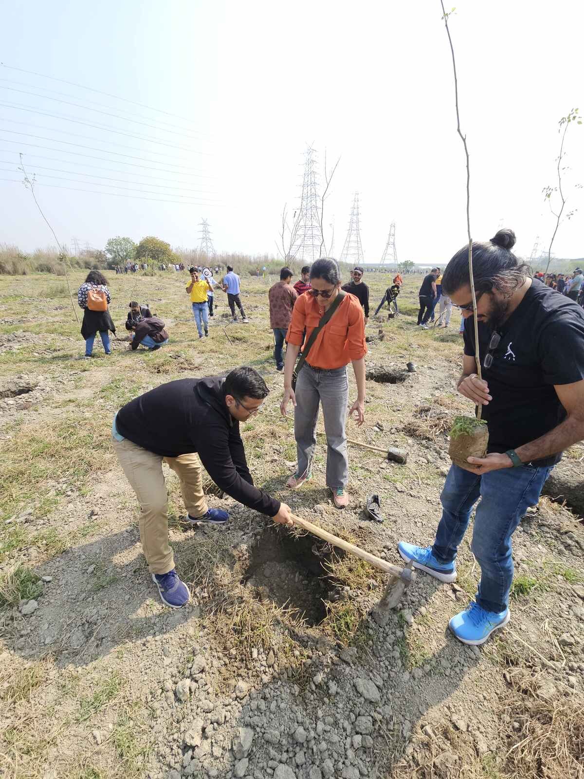 EY GDS Initiates Large-Scale Tree Plantation Drive to Tackle Air ...