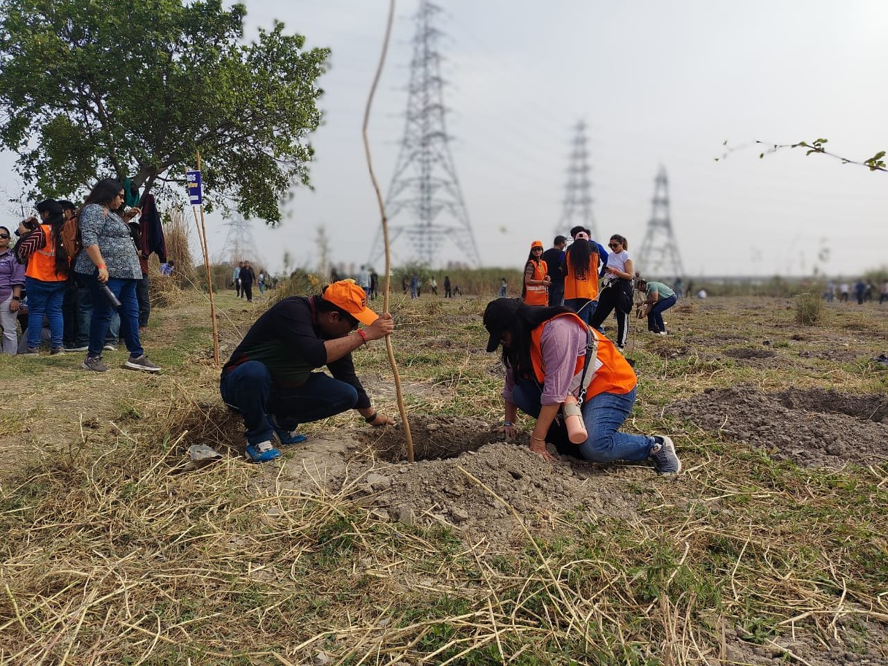 EY GDS Initiates Large-Scale Tree Plantation Drive to Tackle Air ...