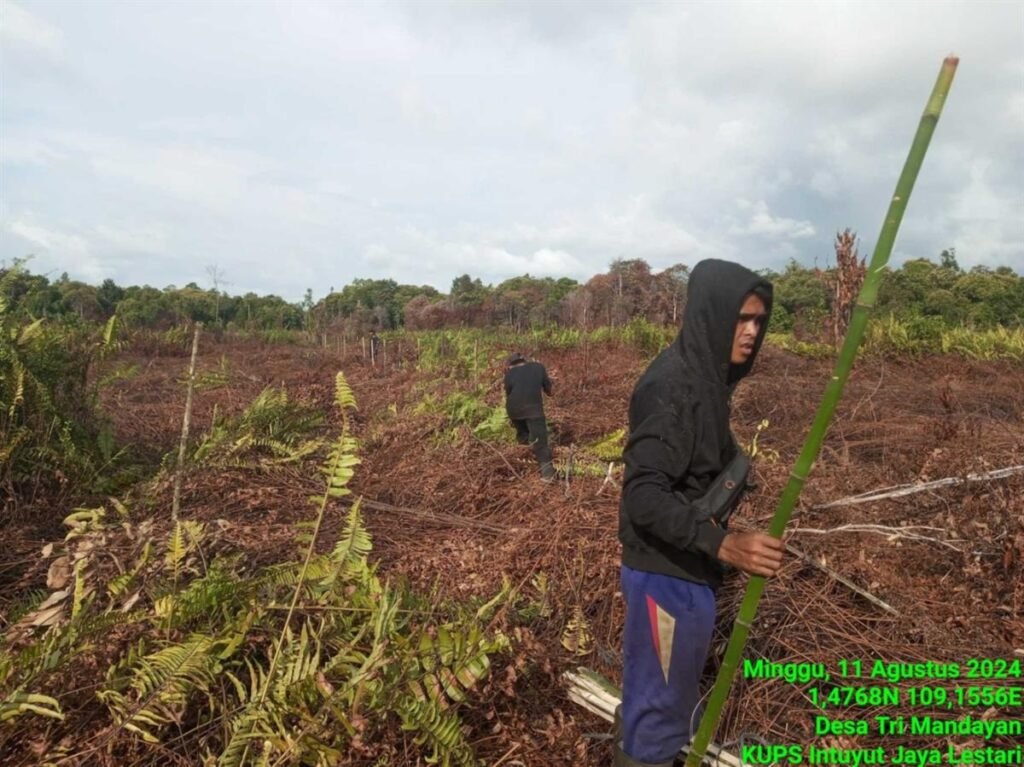 Indian Social Enterprise Helps Protect Indonesia’s Pangolins I World ...