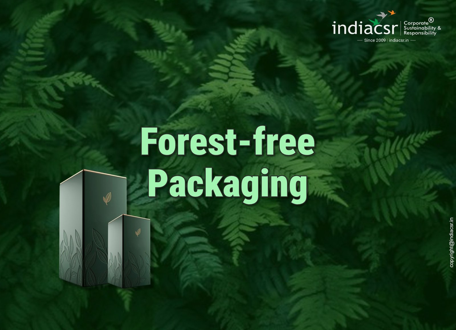 Forest-Free Packaging: Purpose, Core Pillars, Significance, Real-World ...