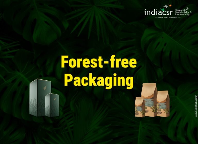 Forest-Free Packaging: Purpose, Core Pillars, Significance, Real-World ...