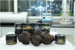 MRIDA Launches Triple Purified Shilajit Platform for Global Wellness